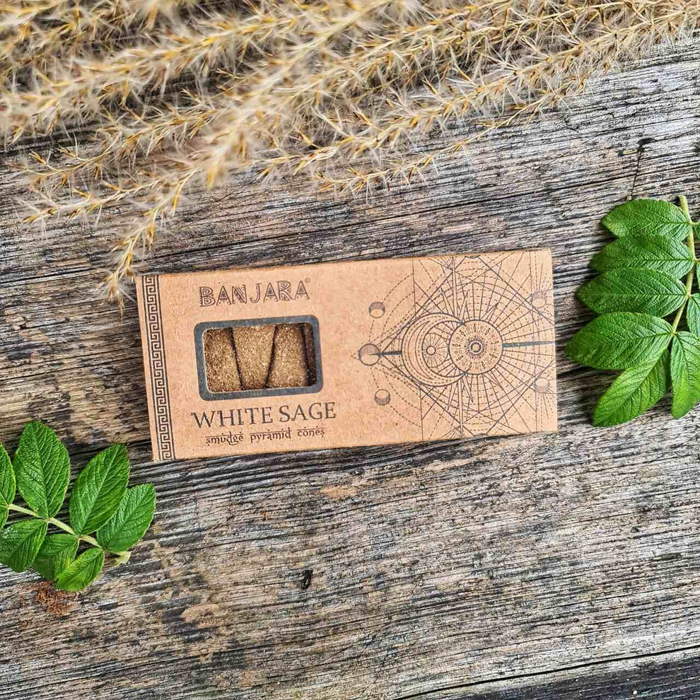 White Sage - Smudge Pyramid Cones – Grupo Samaná